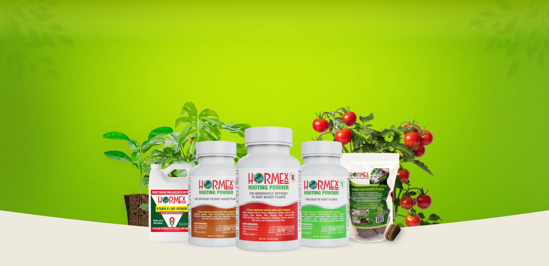 What’s the Difference Between Rooting Hormone and Root Powder in Plant ...